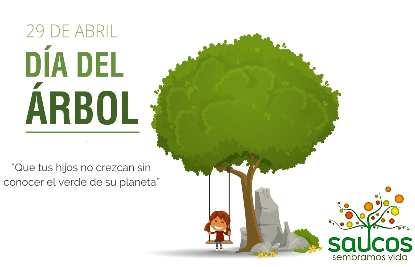 ¿Qué es el día del árbol y como celebrarlo? | Saucos - Jardinería
